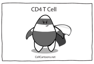 All Cartoons – Cell Cartoons