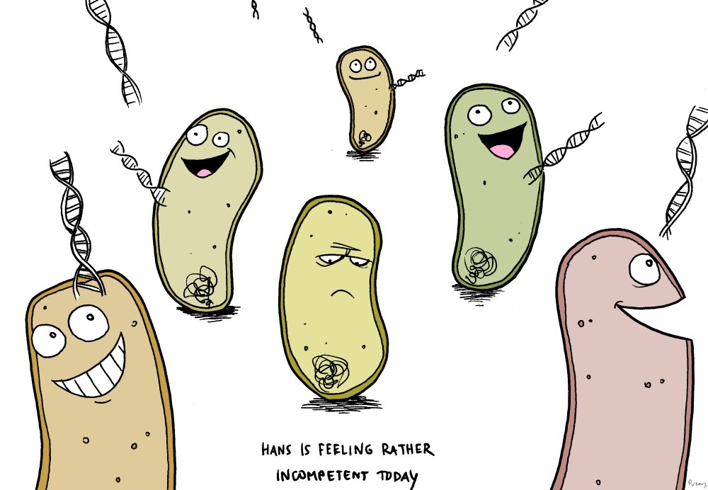 competent bacteria – Cell Cartoons