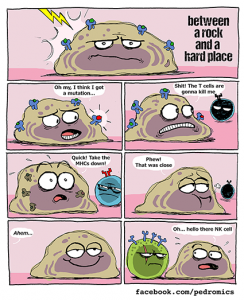 Favorite Cell Biology Cartoons – Cell Cartoons