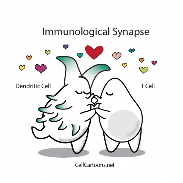 All Cartoons – Cell Cartoons