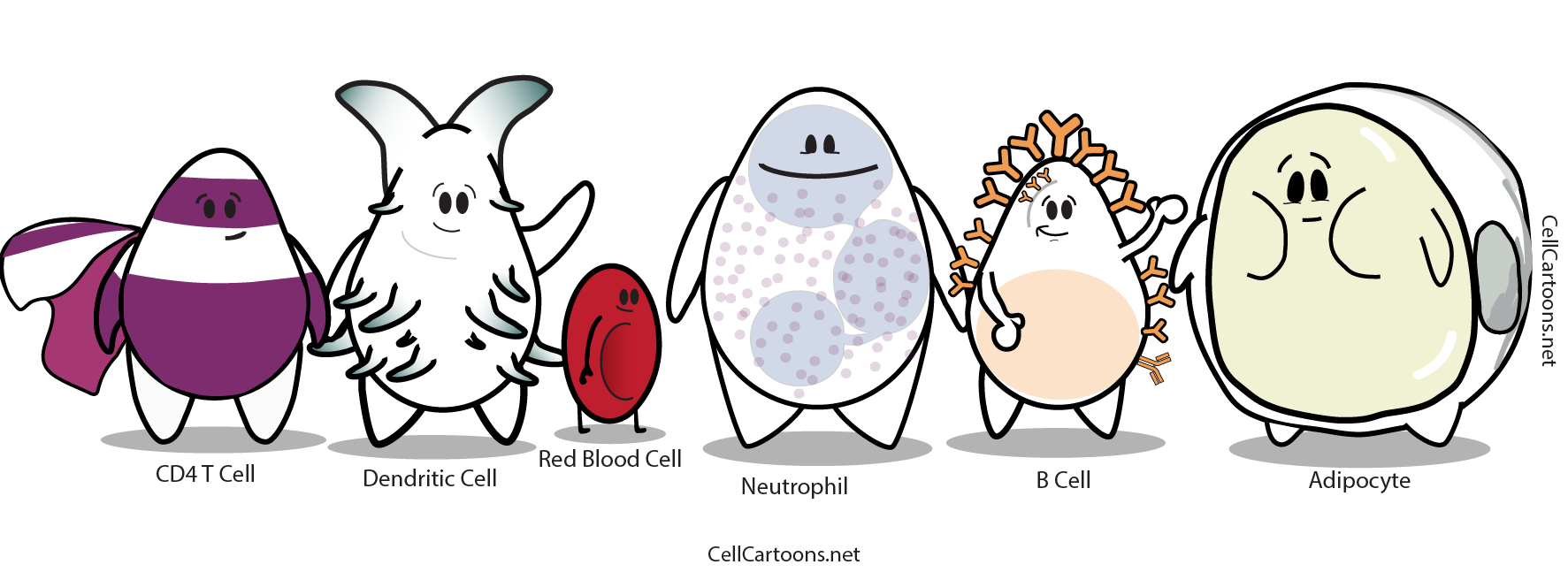 Cell Cartoons – Entertainment for Cell Biology Enthusiast