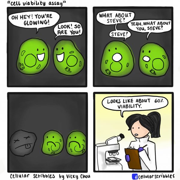 Favorite Cell Biology Cartoons – Cell Cartoons