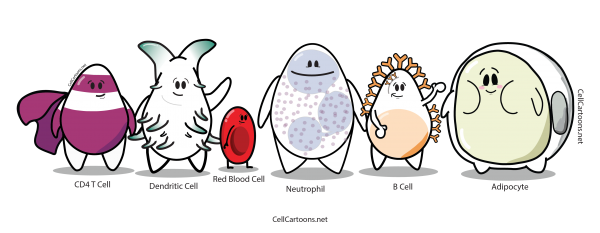 Cell Cartoons – Entertainment for Cell Biology Enthusiast