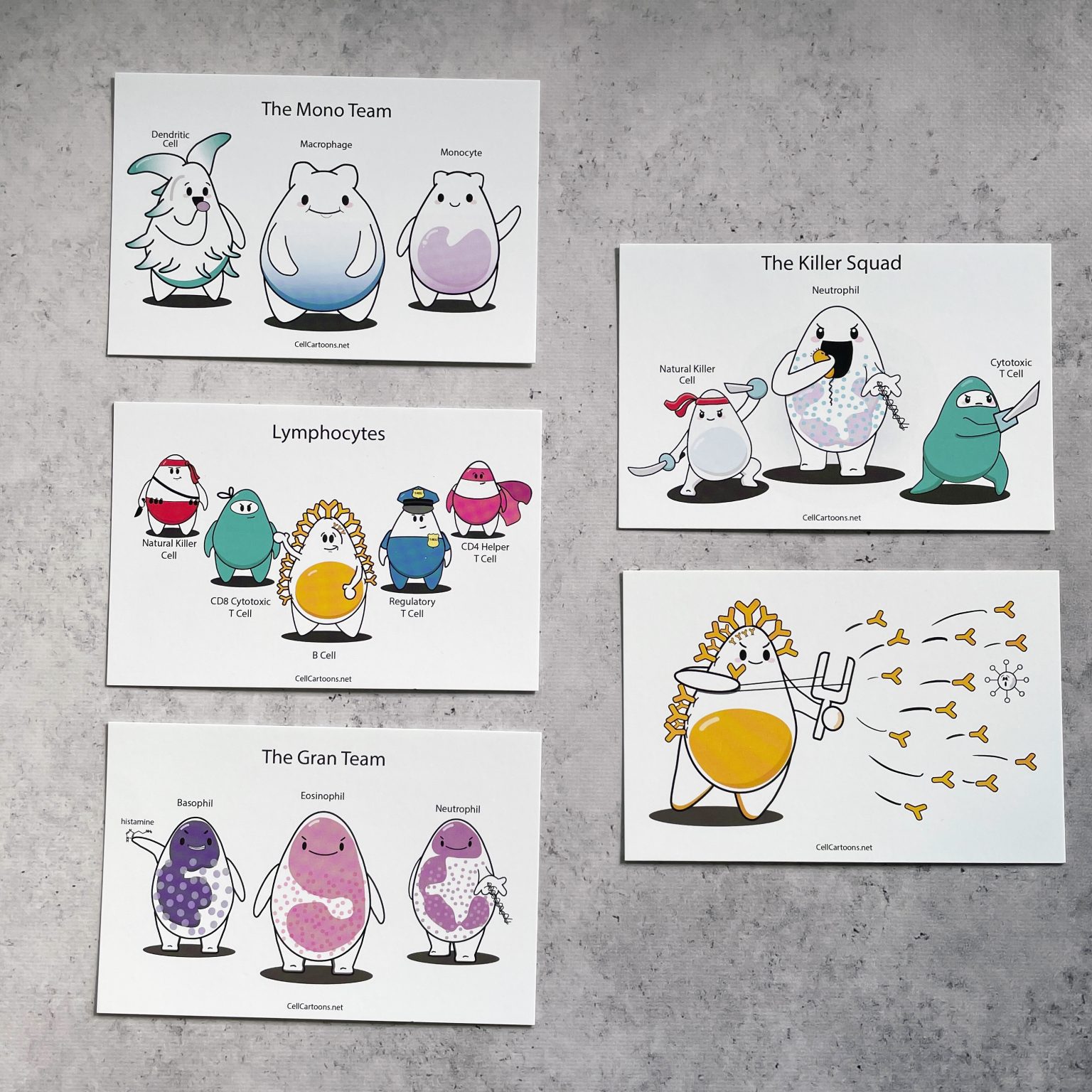 Cell Cartoons – Entertainment for Cell Biology Enthusiast