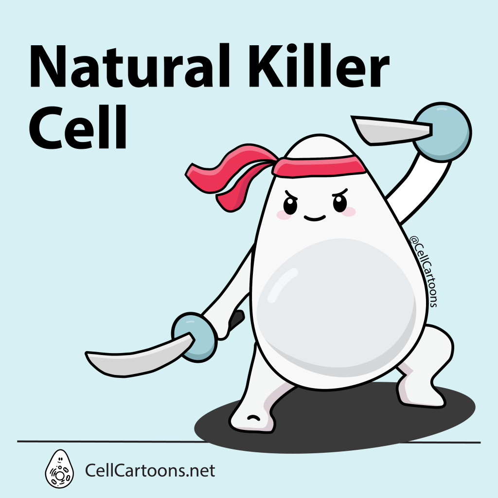 Natural Killer Cell Sticker – Cell Cartoons
