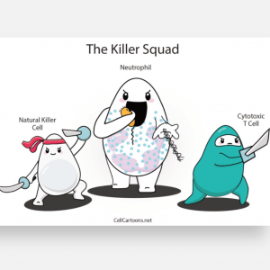 Killer Squad Bundle – Cell Cartoons