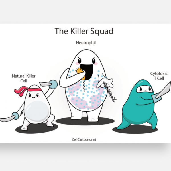 Killer Squad Bundle – Cell Cartoons