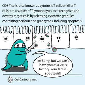 Killer T Cell – Cell Cartoons