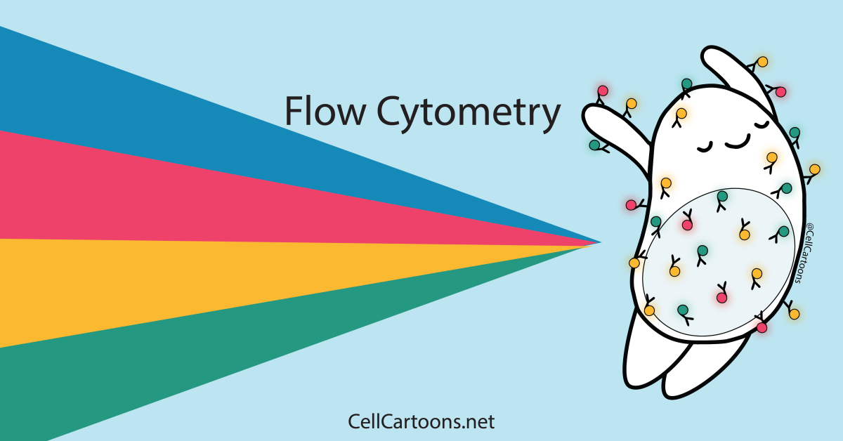 Flow Cytometry Cell Cartoons Flow Cytometry Cell Cartoons