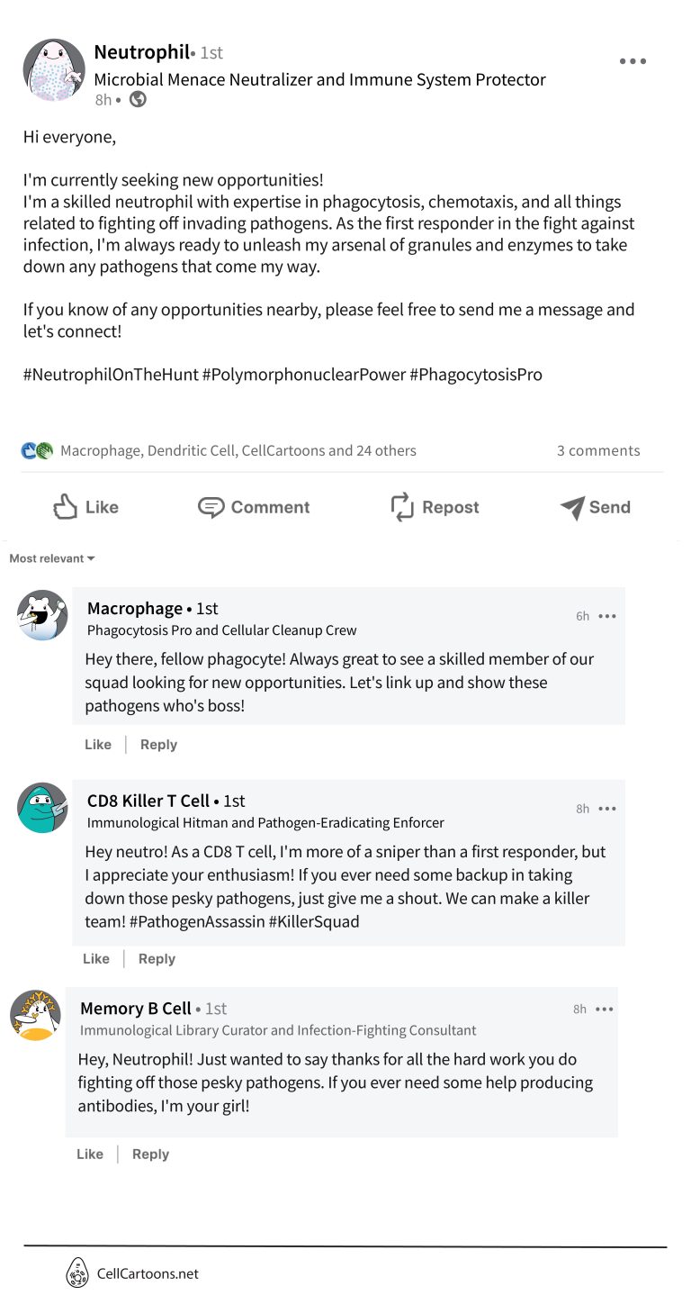 Immune Cells Crushing It on LinkedIn – Cell Cartoons