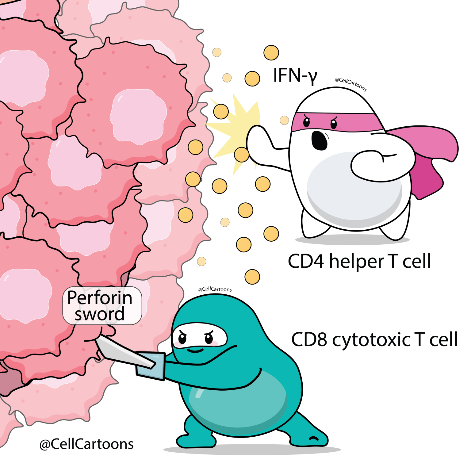 Tumor immunology – Cell Cartoons