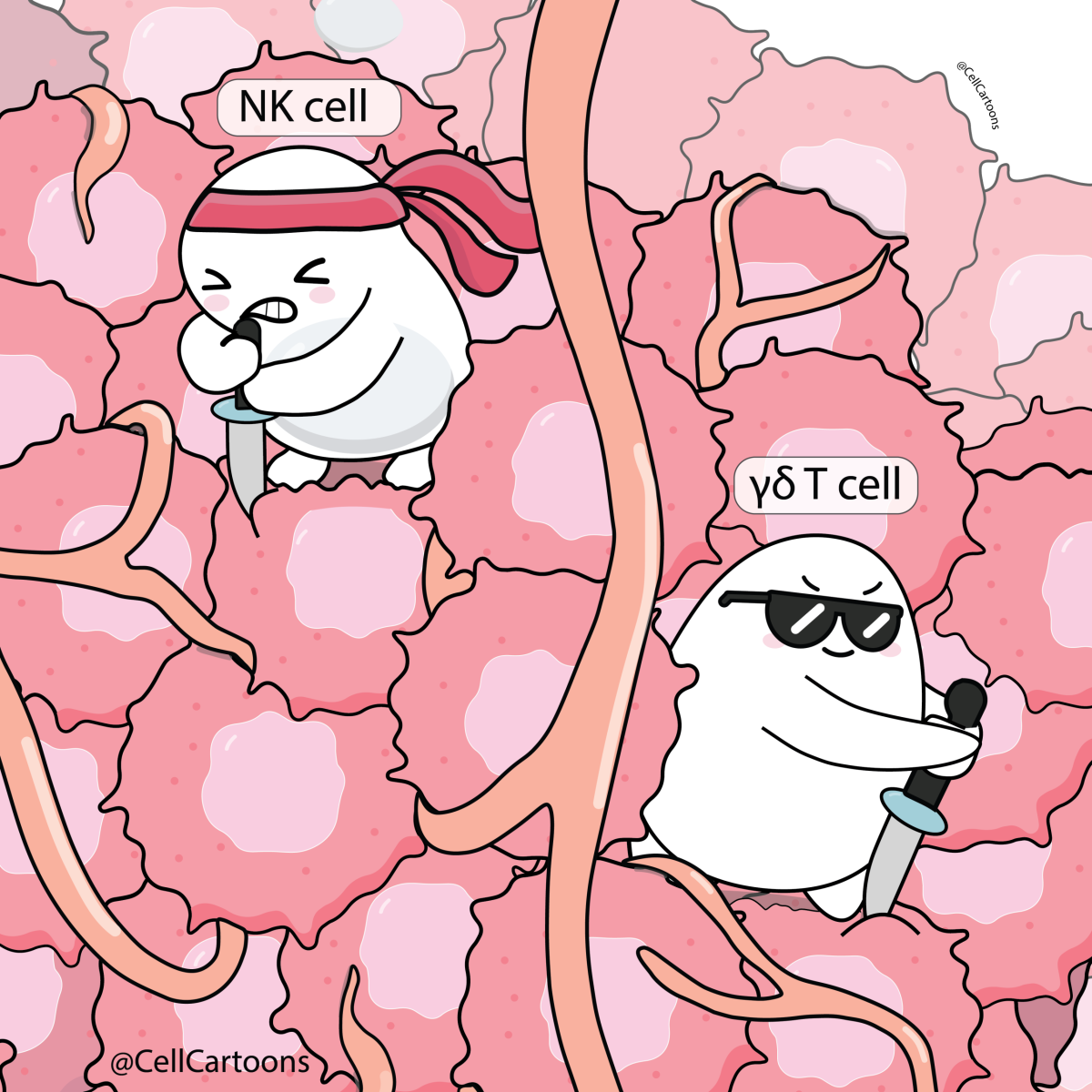 Tumor immunology – Cell Cartoons