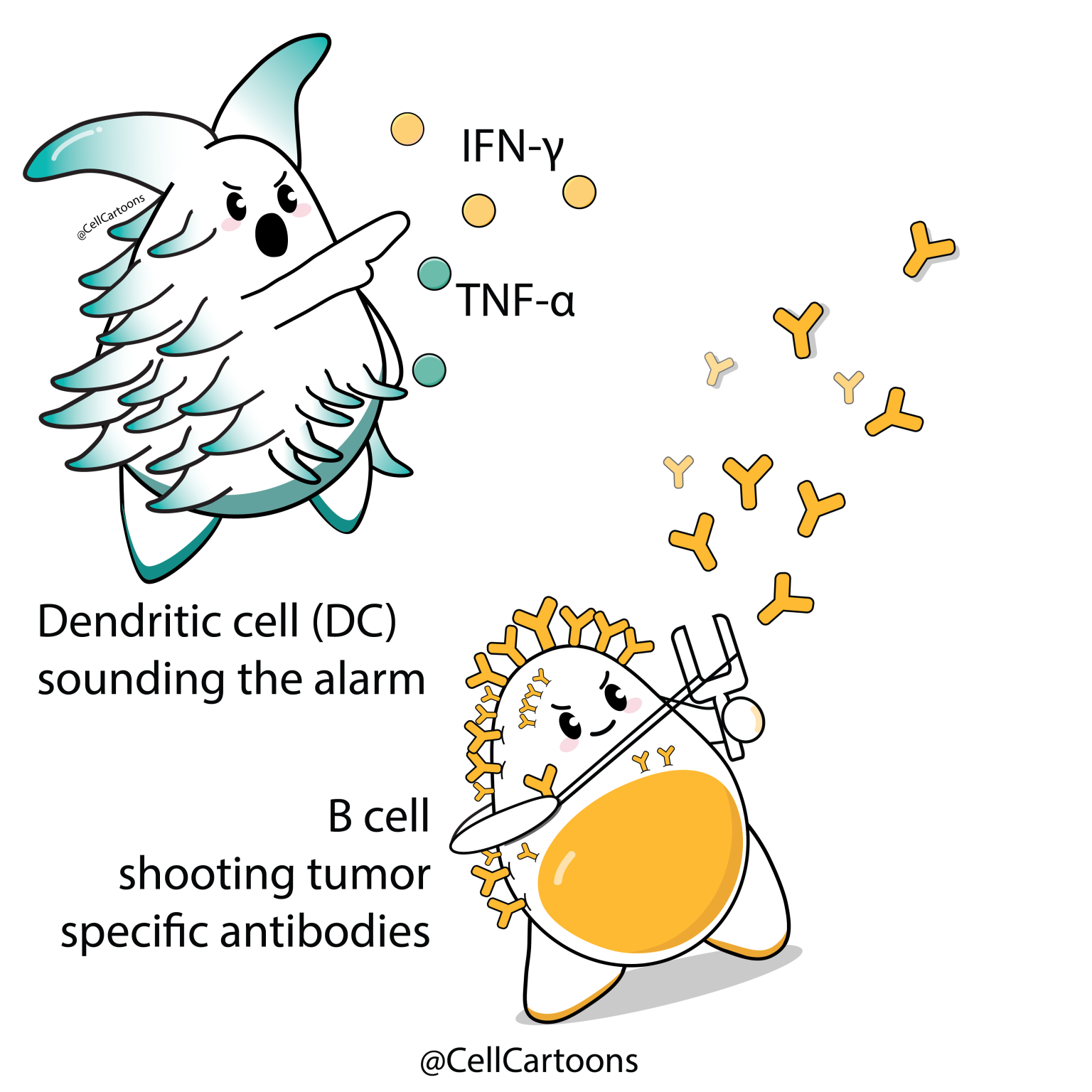 Tumor immunology – Cell Cartoons