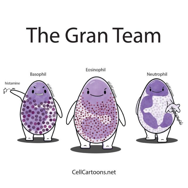 Cell Cartoons – Entertainment for Cell Biology Enthusiast