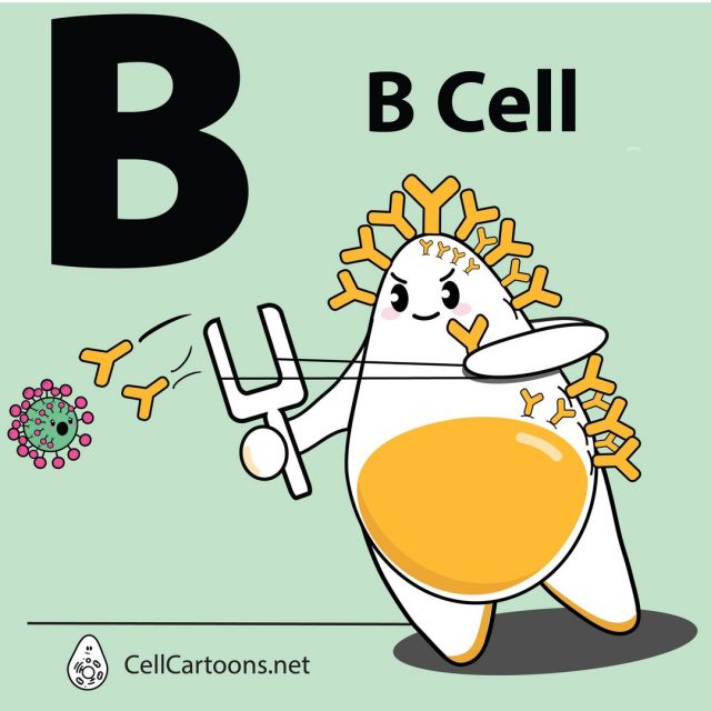 Cell Cartoons – Entertainment for Cell Biology Enthusiast
