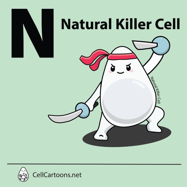 Cell Cartoons – Entertainment for Cell Biology Enthusiast